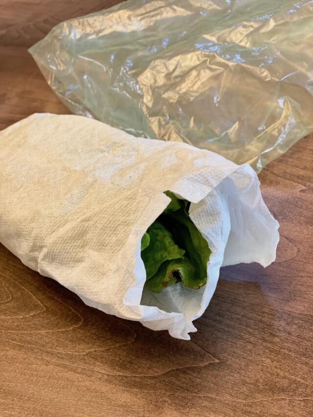 How to Keep Shredded Lettuce Fresh - The Short Order Cook