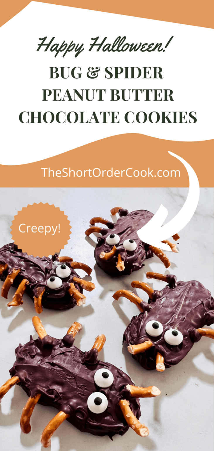 No Bake Halloween Spider Cookies - The Short Order Cook