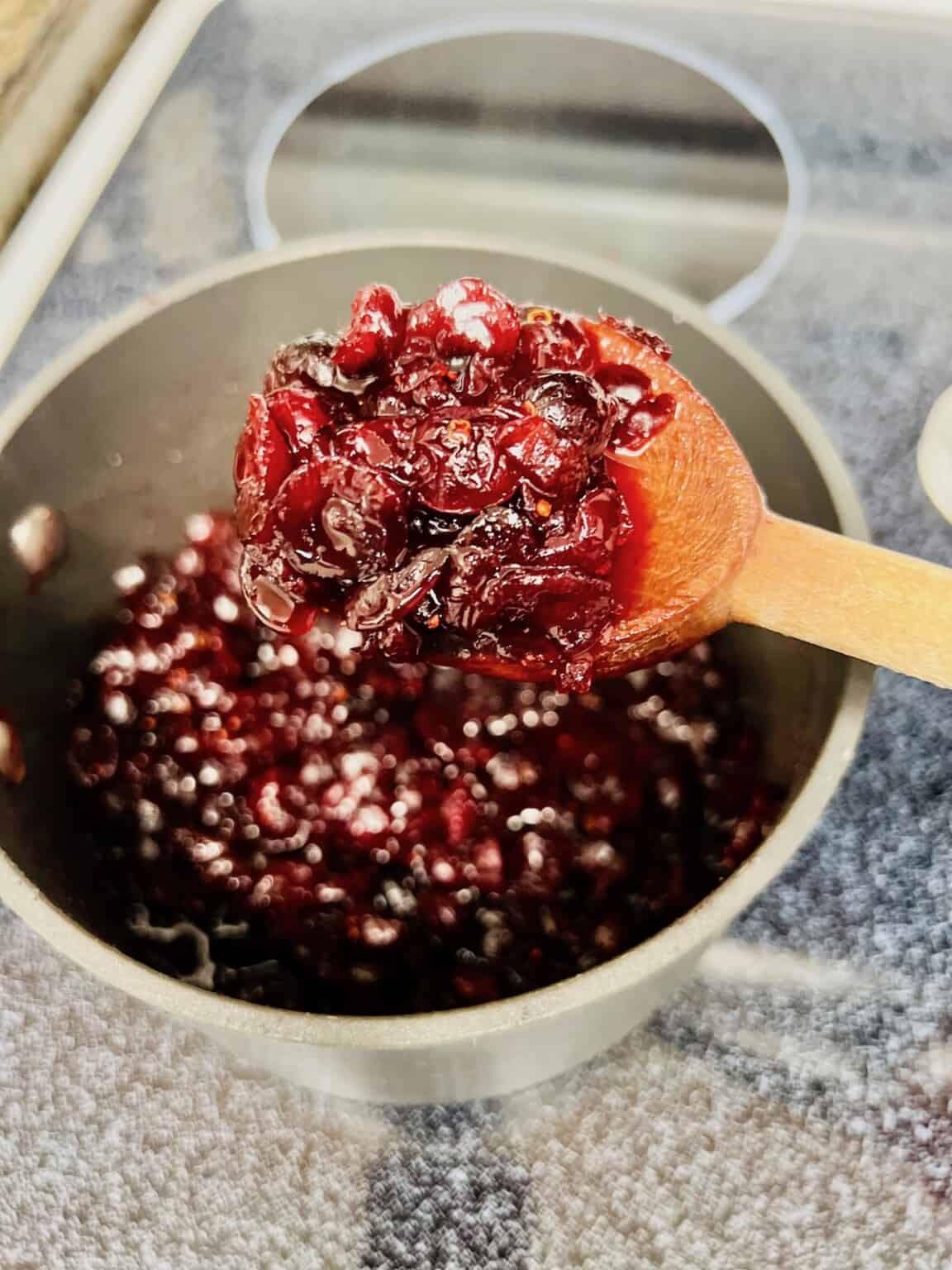 Cranberry Sauce from Dried Cranberries - The Short Order Cook