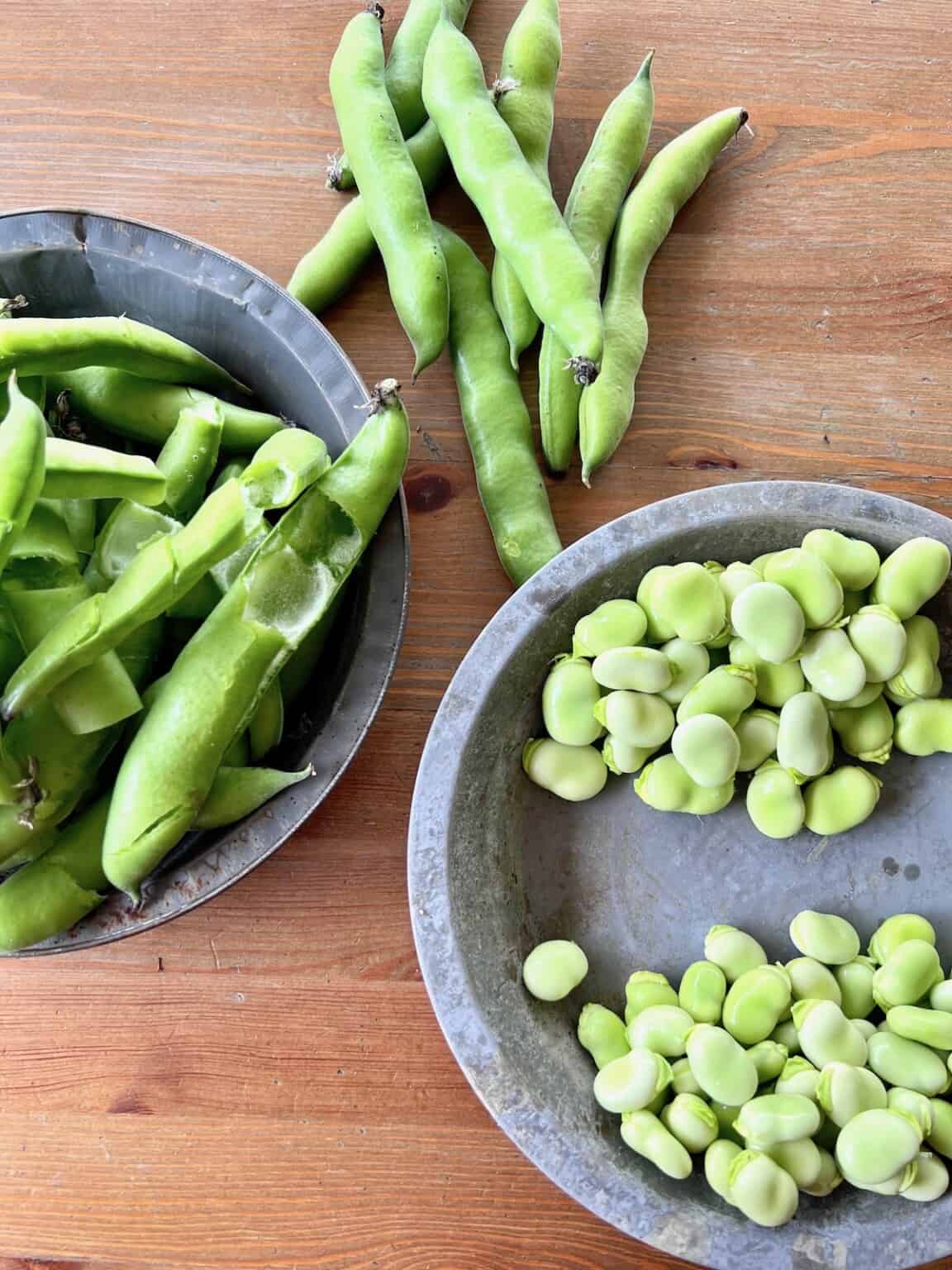 Creamy Pesto Pasta with Fava Beans - The Short Order Cook