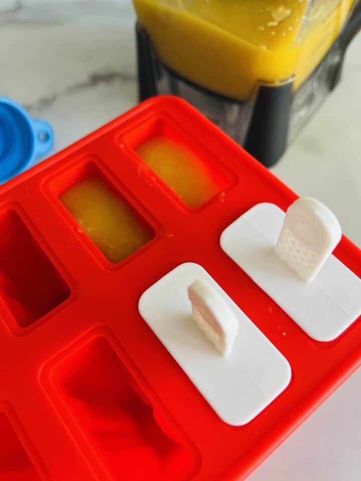Easy Mango Popsicles - The Short Order Cook
