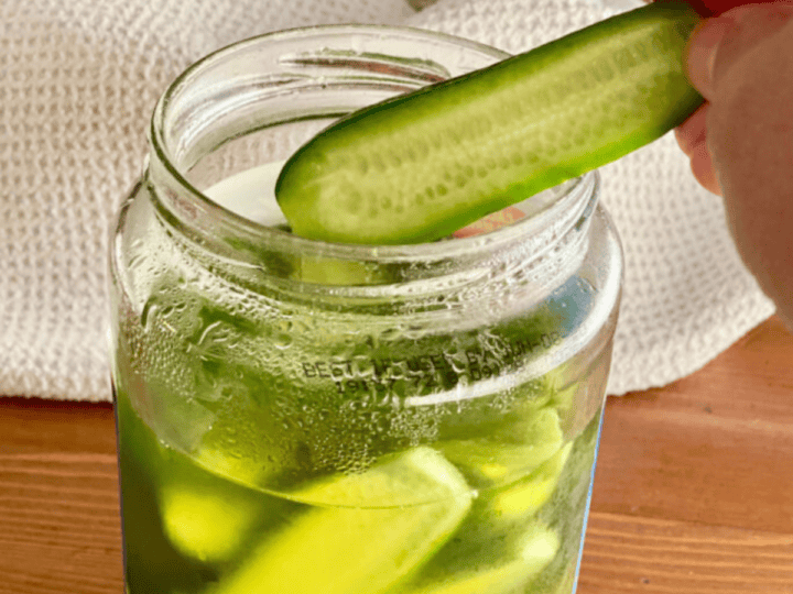 Homemade Pickles with Leftover Pickle Juice - The Short Order Cook