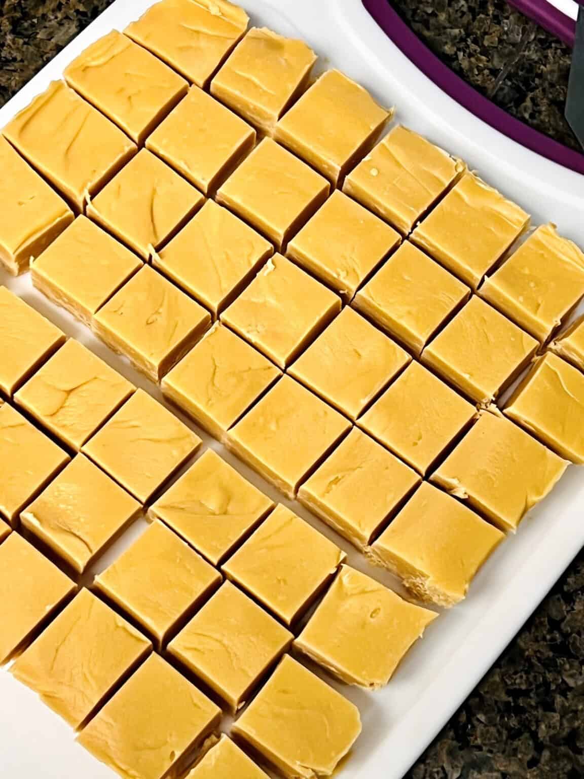 Butterscotch Fudge - The Short Order Cook